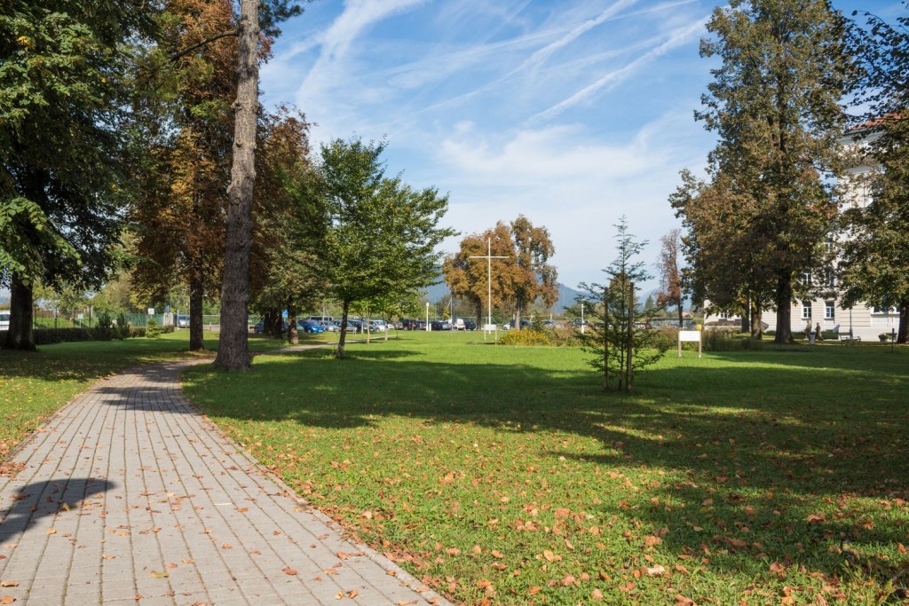 Facilities and services | Vector International Academy